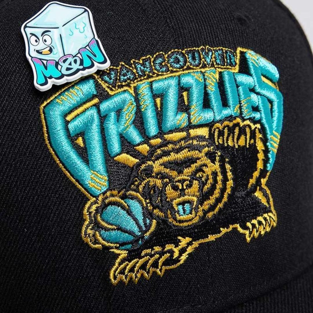 Mitchell & Ness NBA Ice Cold Pro Crown Vancouver Grizzlies – Cap-Z ...